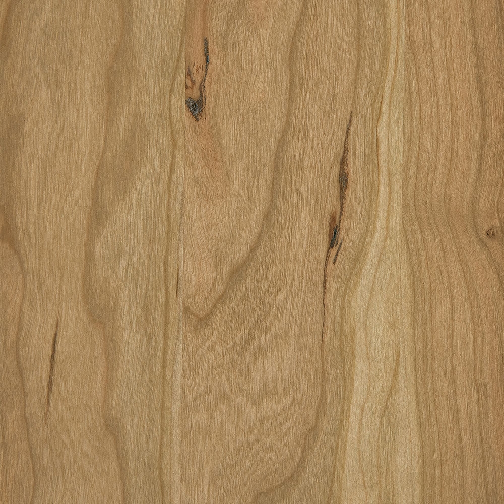 New PCL Colors | Spectrum Finishing